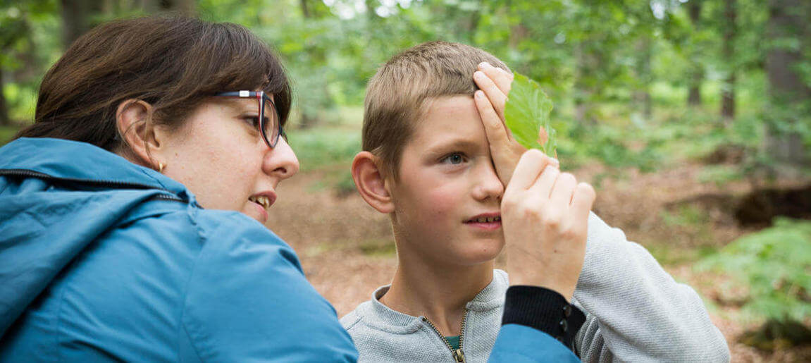 Waldtherapie - Wald-MV
